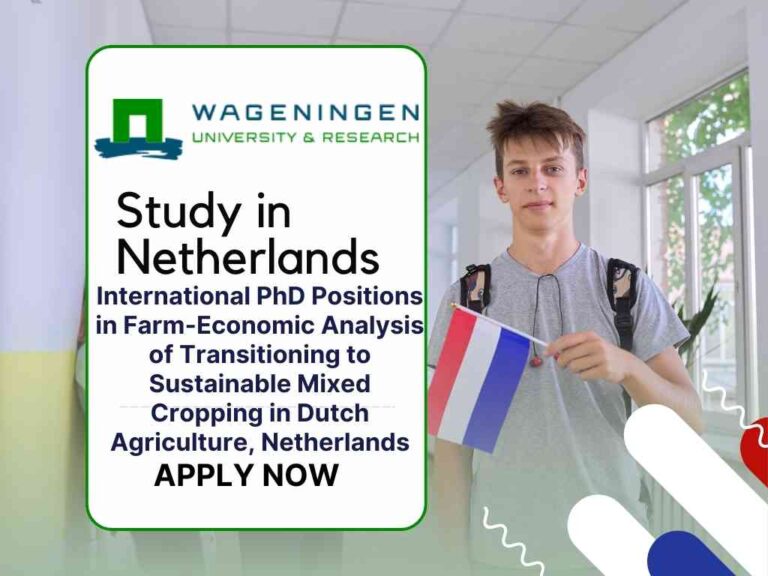 31 Netherlands Scholarships For International Students 2025 - 2026