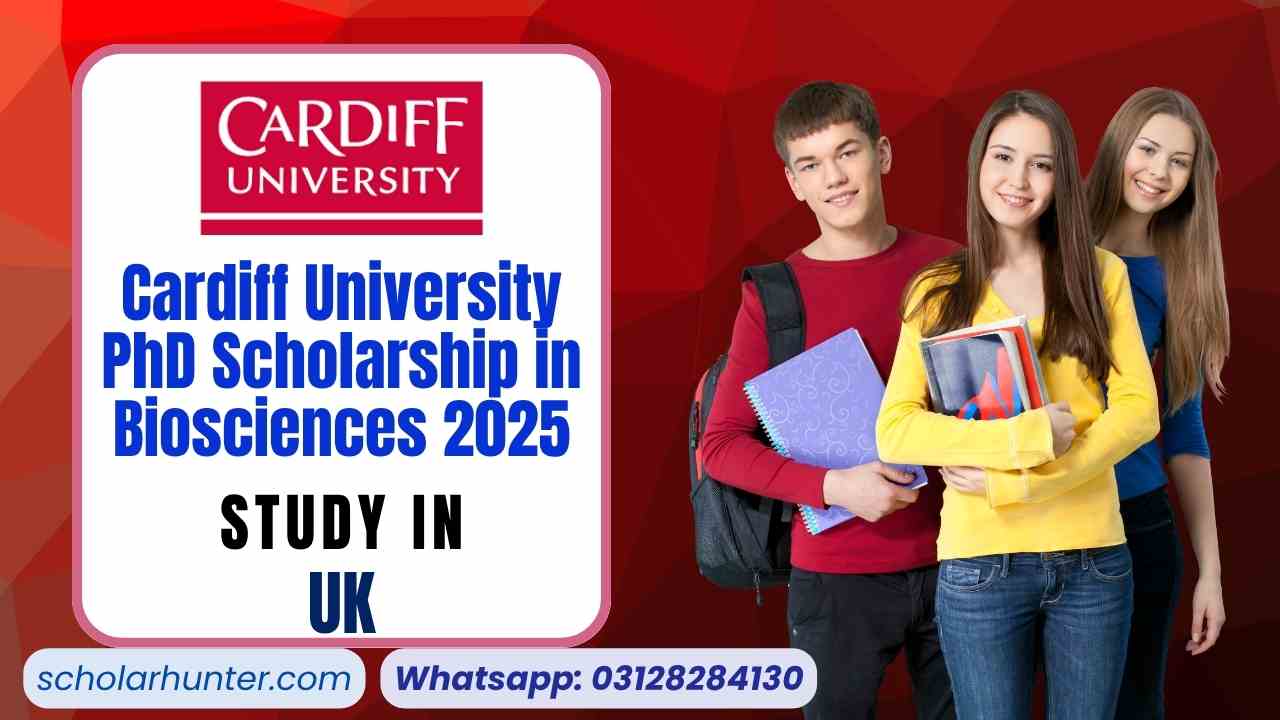 PhD Scholarships News 2025 For International Students